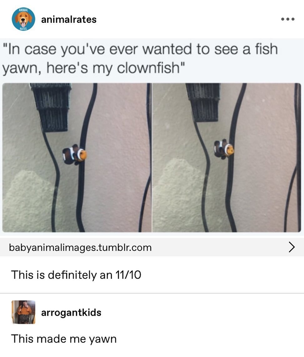 The best Fish memes :) Memedroid