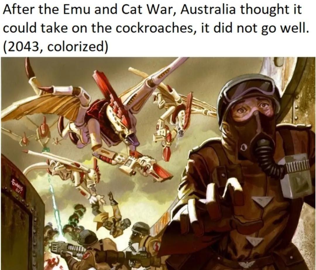 The best War memes :) Memedroid