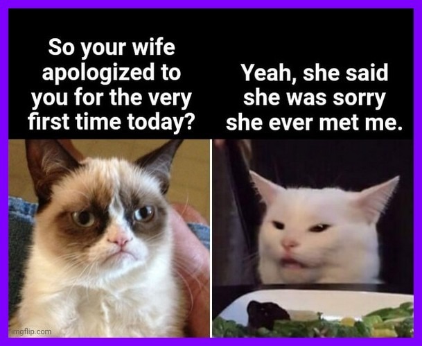 Cute Apology Memes Sorry For Being A Prick Card, Funny Apology Card,