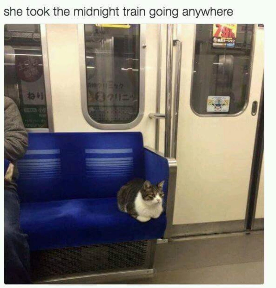 The best Journey memes :) Memedroid