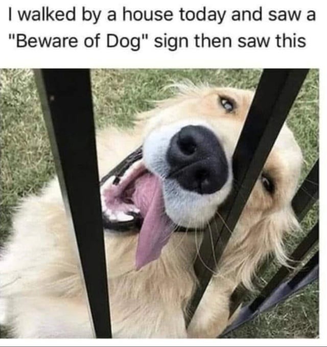 Cute and funny memes :) Memedroid