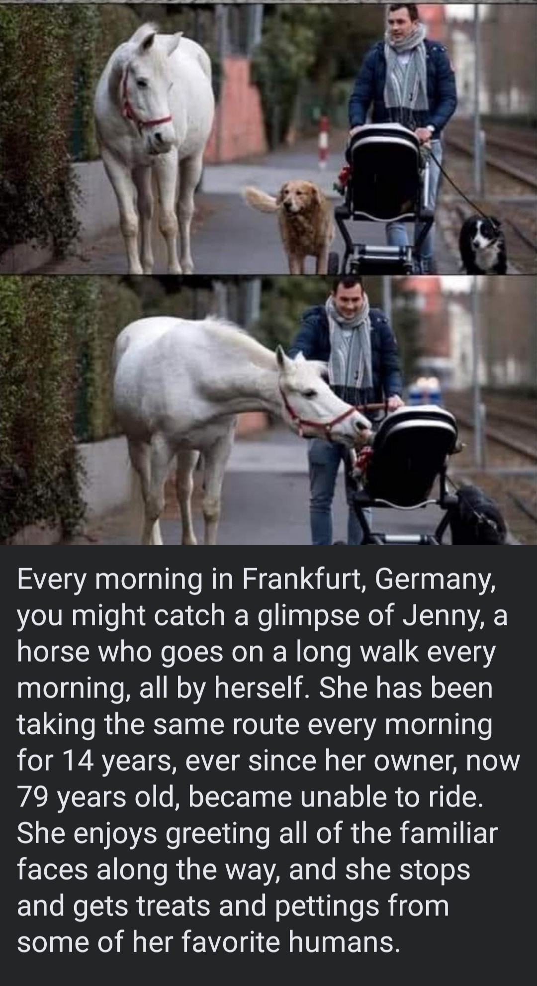 Jjj - Meme by zhentrixcalipso :) Memedroid