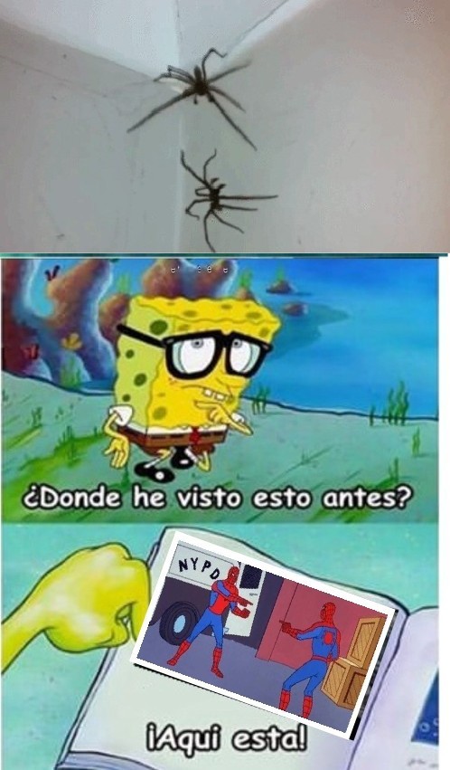 Tu !! - Meme subido por Bamc.. :) Memedroid