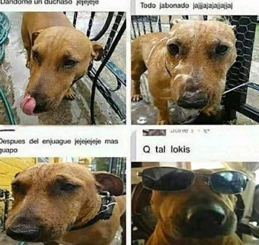 Q tal lokis - Meme subido por Diego_feooooooo :) Memedroid