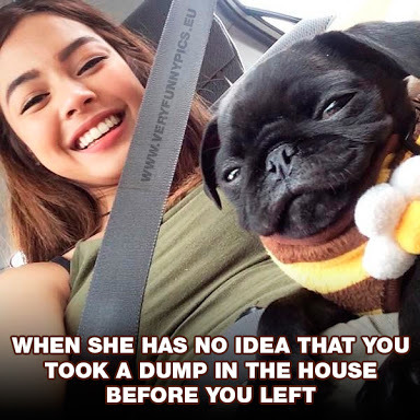 Smooth - Meme by Somz :) Memedroid