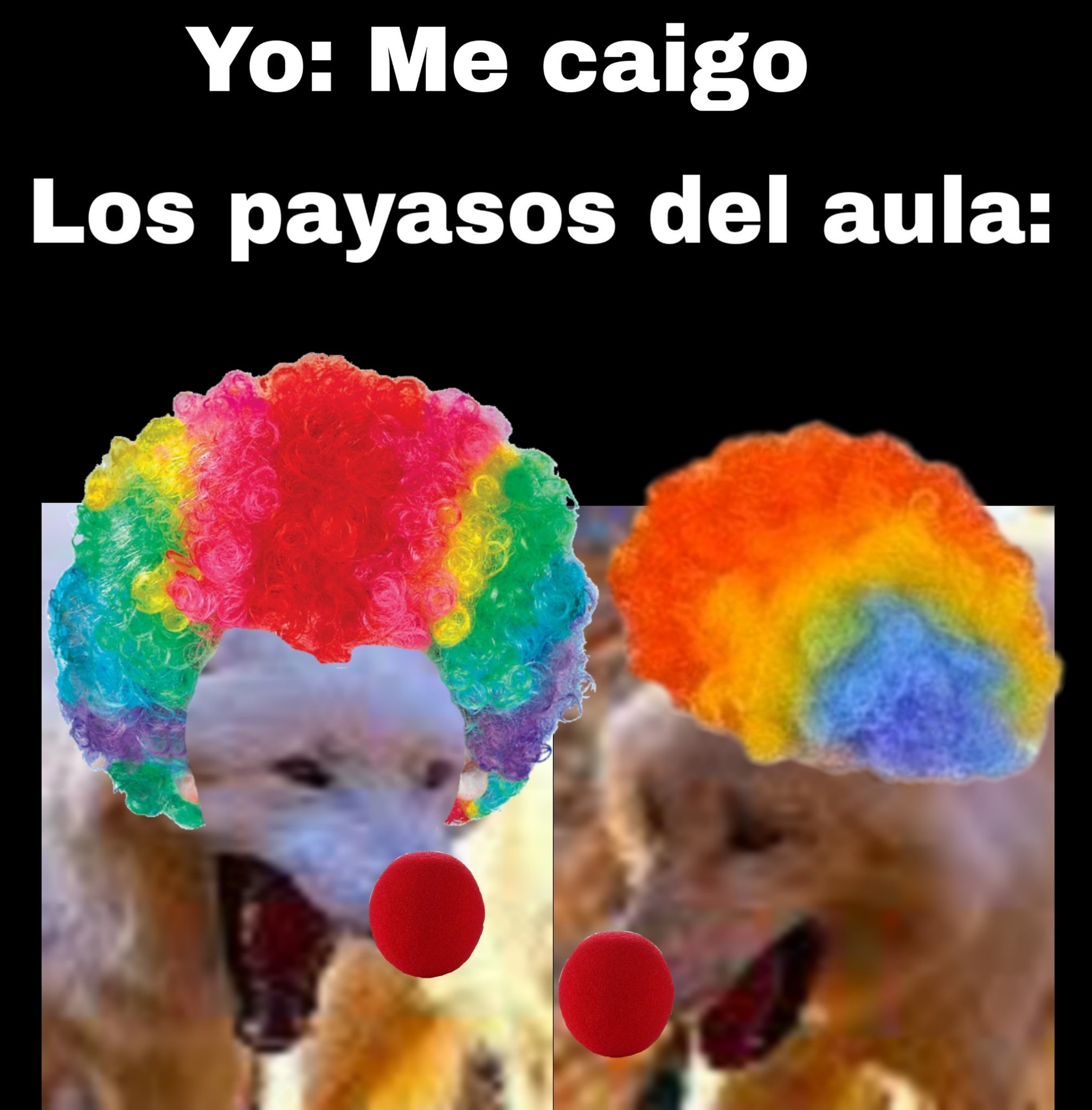 Circo - Meme subido por Mario9618 :) Memedroid