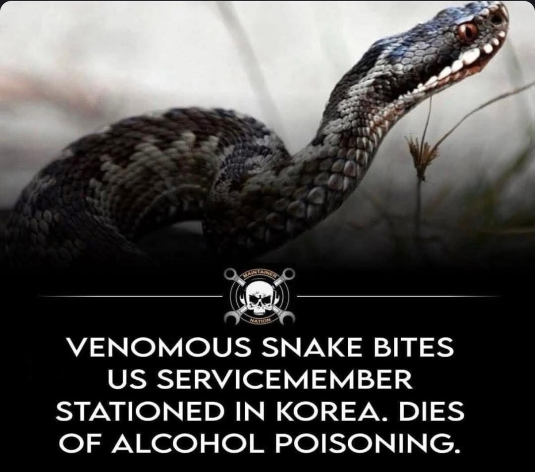 The best Snake memes :) Memedroid