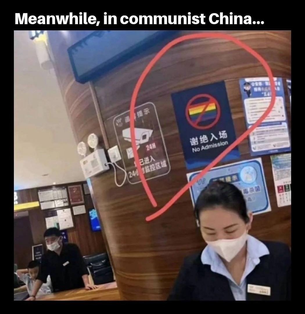 The Latest Memes :) Memedroid