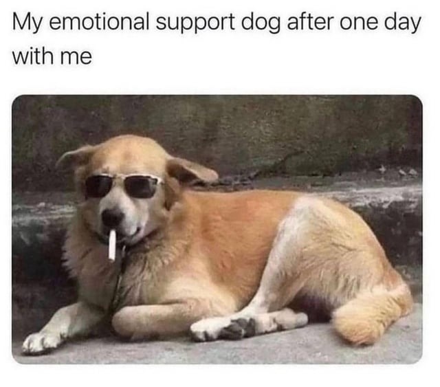 The best Support memes :) Memedroid