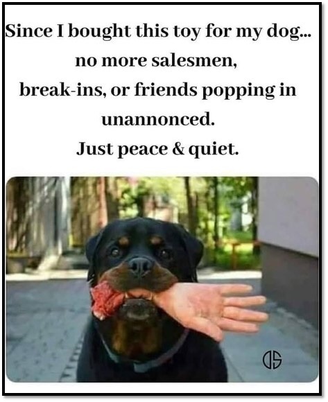 pit’s are my fav, but still..... - Meme by Bloodnut187 :) Memedroid