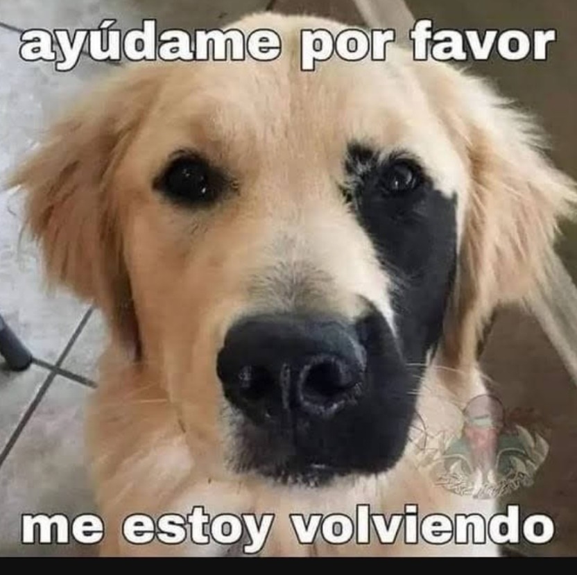 Completa la frase - Meme by Mr_Skulk :) Memedroid