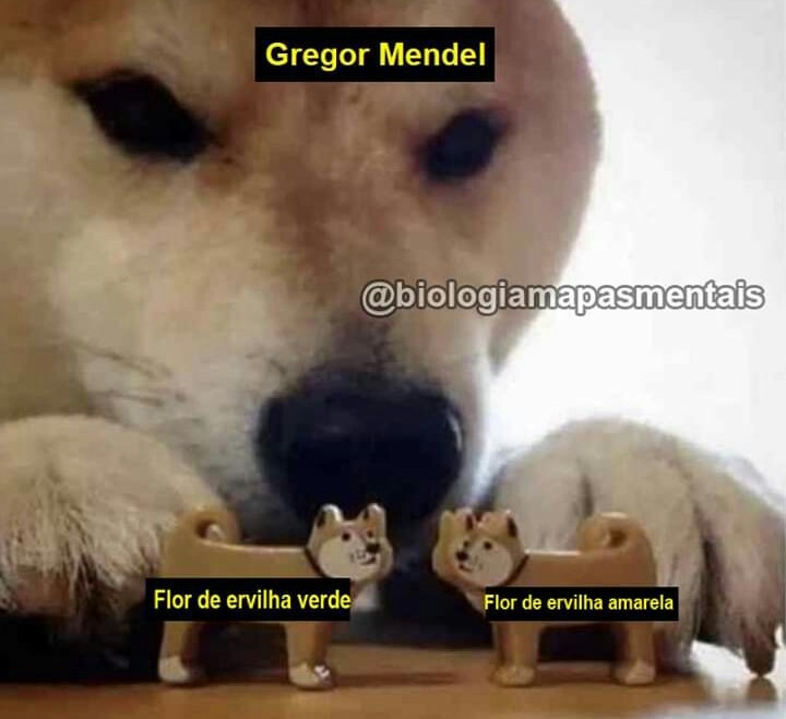 GENETICA - Meme by deleted_e388ba1dfa1 :) Memedroid