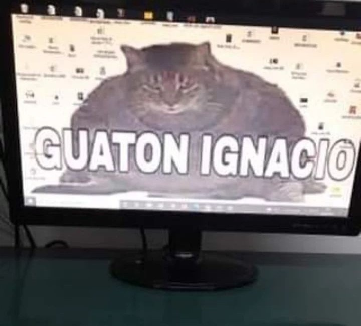 Guaton ignacio - Meme subido por NEF_Deluxe :) Memedroid