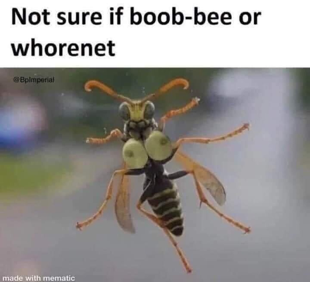 Is it ns fwork - Meme subido por BrainlessGuyReturns :) Memedroid