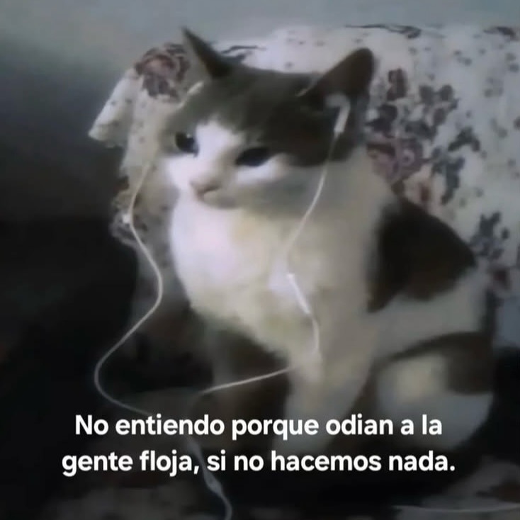 Top memes de Descanso en español :) Memedroid