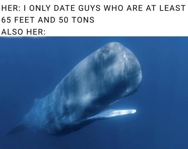 Blue Whale Memes