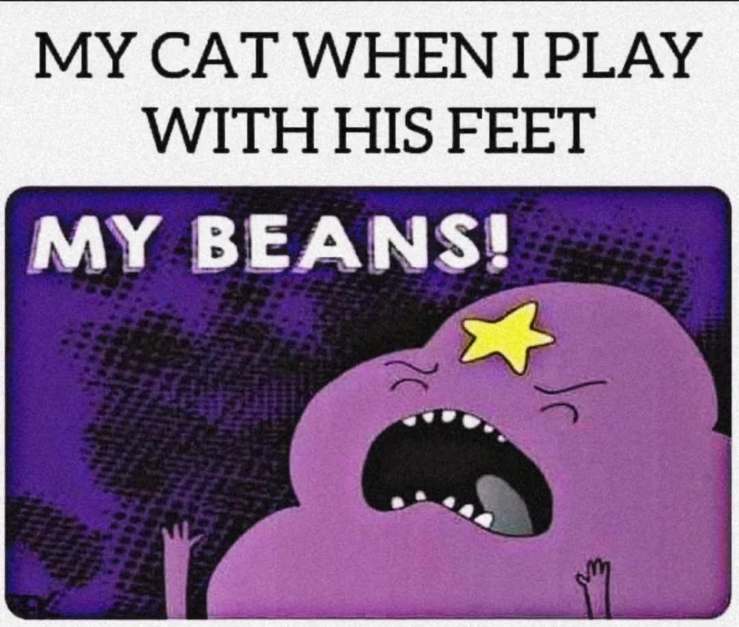 The Latest Memes :) Memedroid