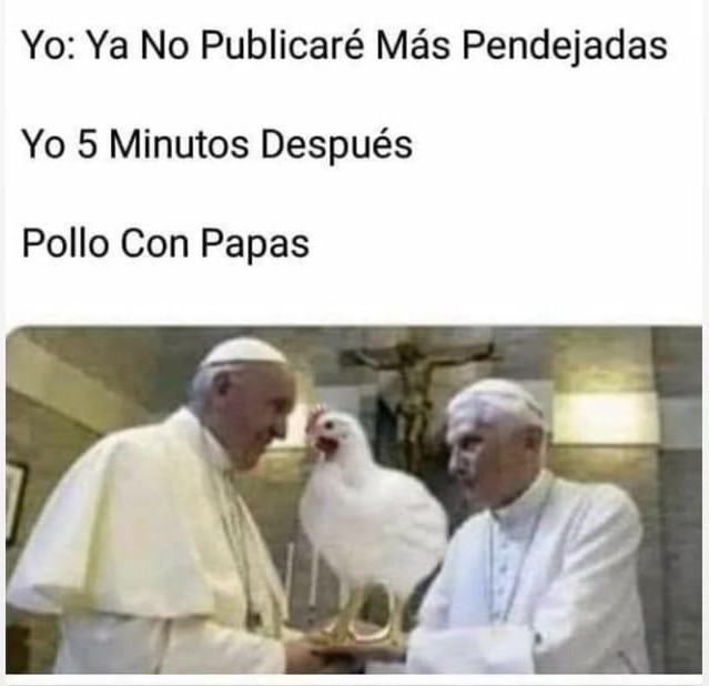 Imagen De Pollo Memes