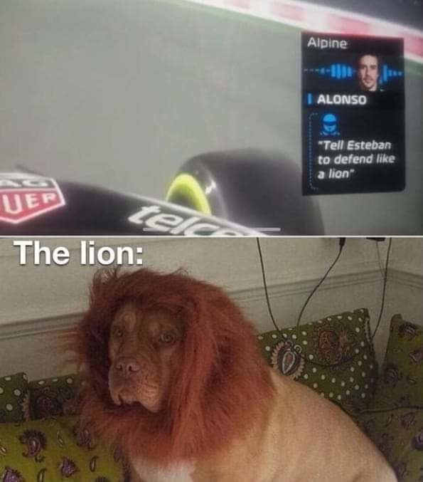 Pobre Esteban Ocon - Meme subido por AckrobiusHumilde :) Memedroid