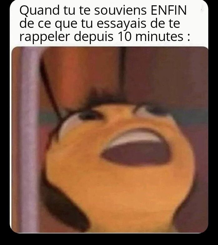 Memes De Maya