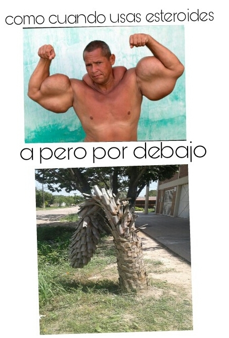 Primer meme - Meme subido por Levat :) Memedroid