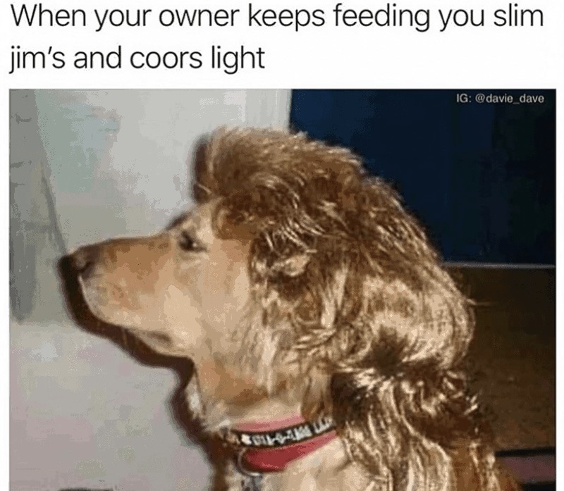 Red neck dog - Meme by Scoots291 :) Memedroid