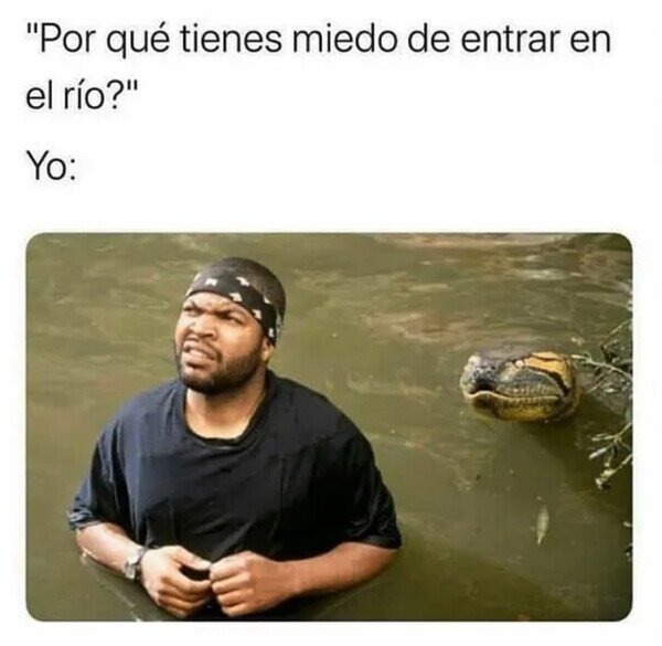 Miedo real de entrar en el río - Meme subido por hok129 :) Memedroid