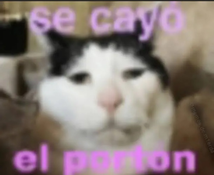 Top memes de Porton en español :) Memedroid
