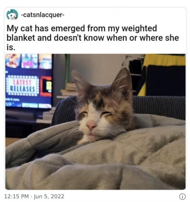 The best Blanket memes :) Memedroid