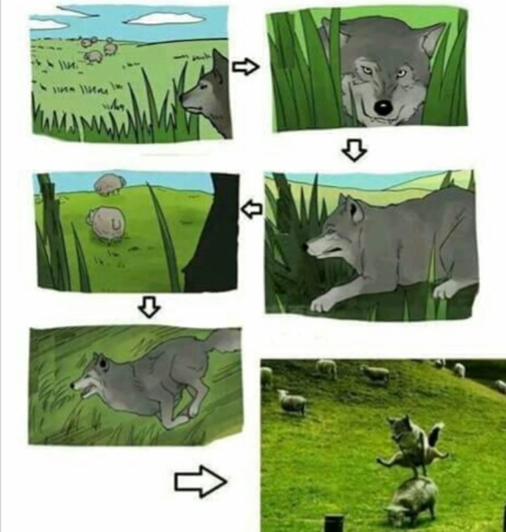 Top memes de Oveja en español :) Memedroid