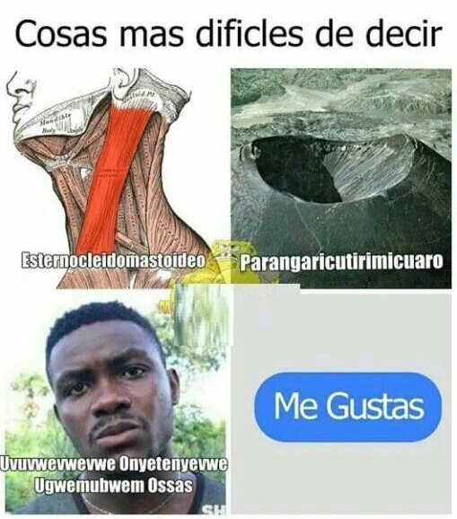 >:v oli - Meme by Elsevapp :) Memedroid