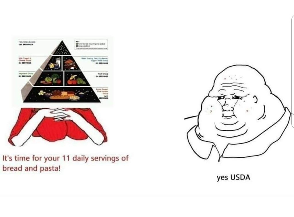 The best Fatty memes :) Memedroid