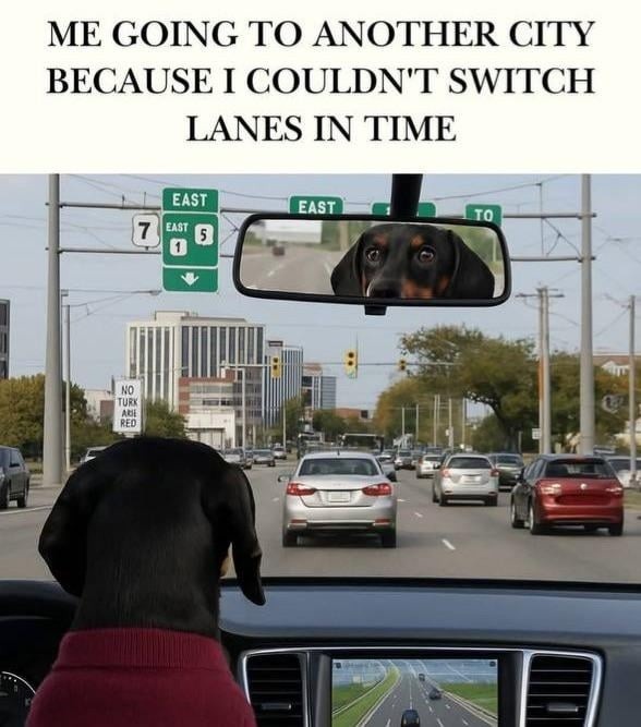 The best Driving memes :) Memedroid