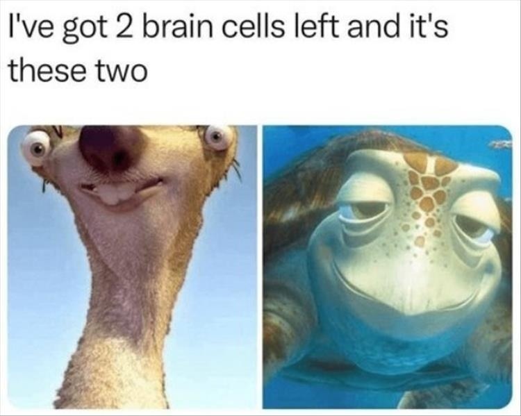 The Latest Memes :) Memedroid