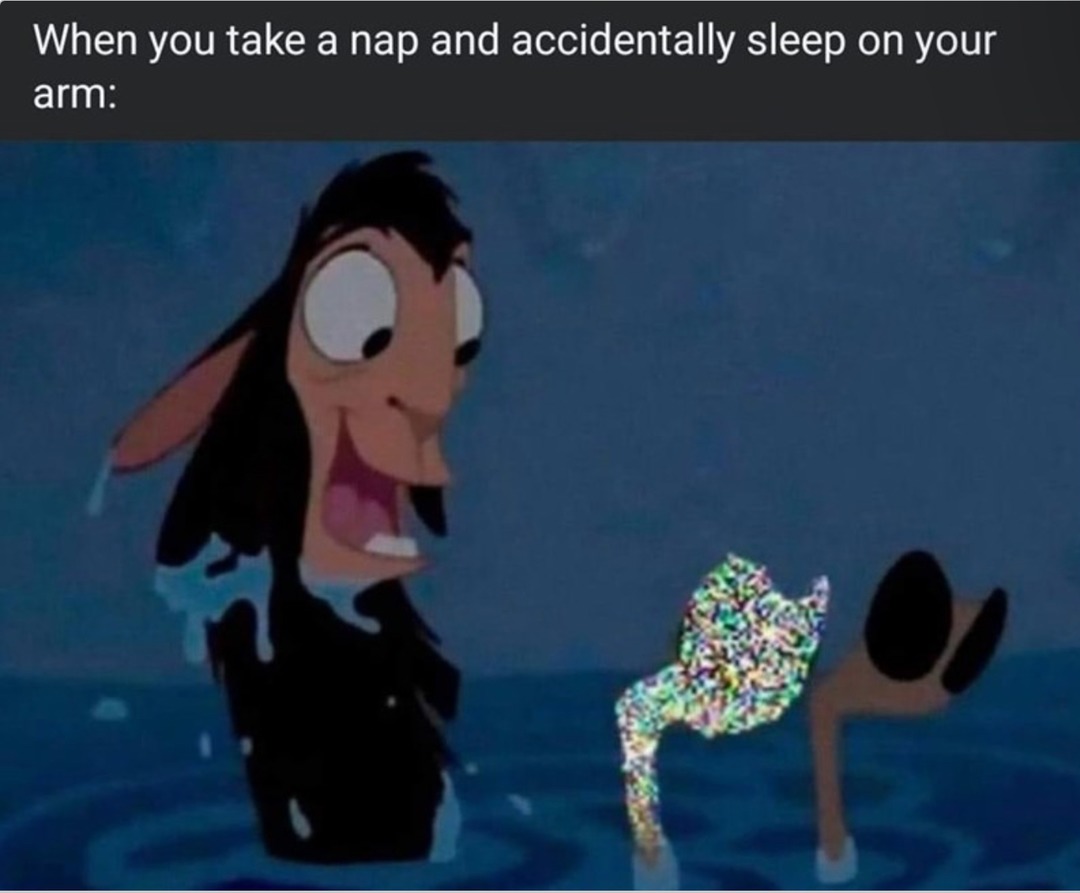 Lap Nap Memes The Nap Was Powerful. : R/memes