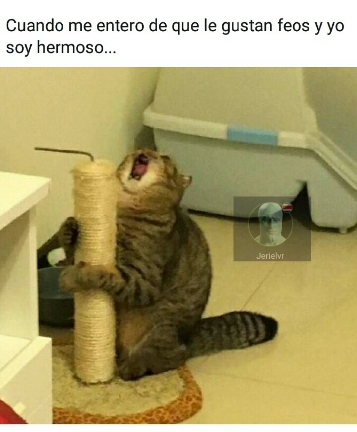 O rayos - Meme subido por Jerielvr :) Memedroid