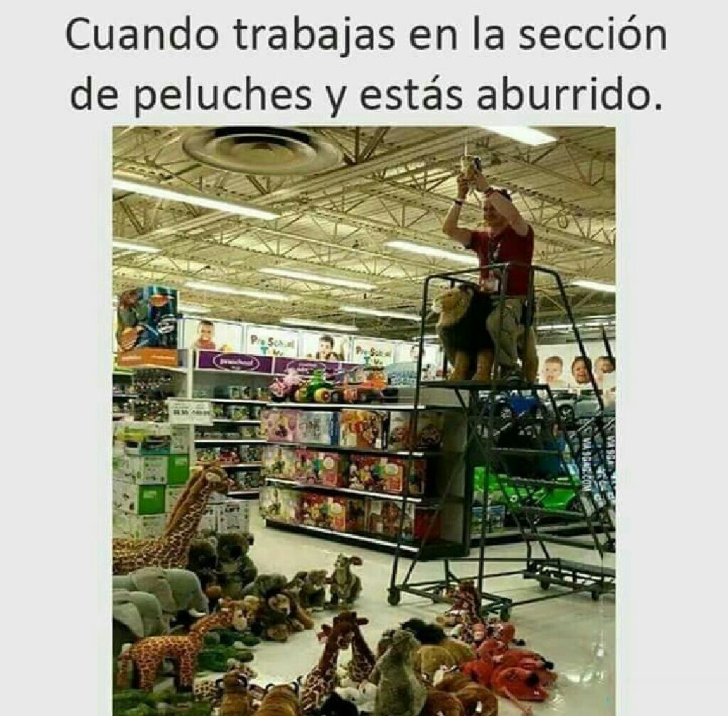 Top memes de Peluche en español :) Memedroid