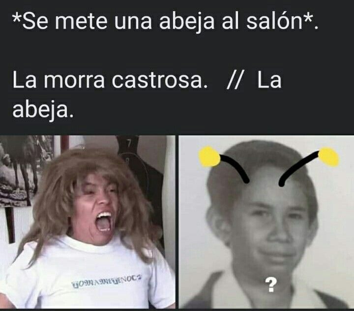 Por sólo una abeja - Meme by SAULTROLL66 :) Memedroid