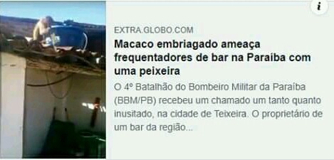 esse é o Brasil Parça - Meme by dayvison21 :) Memedroid