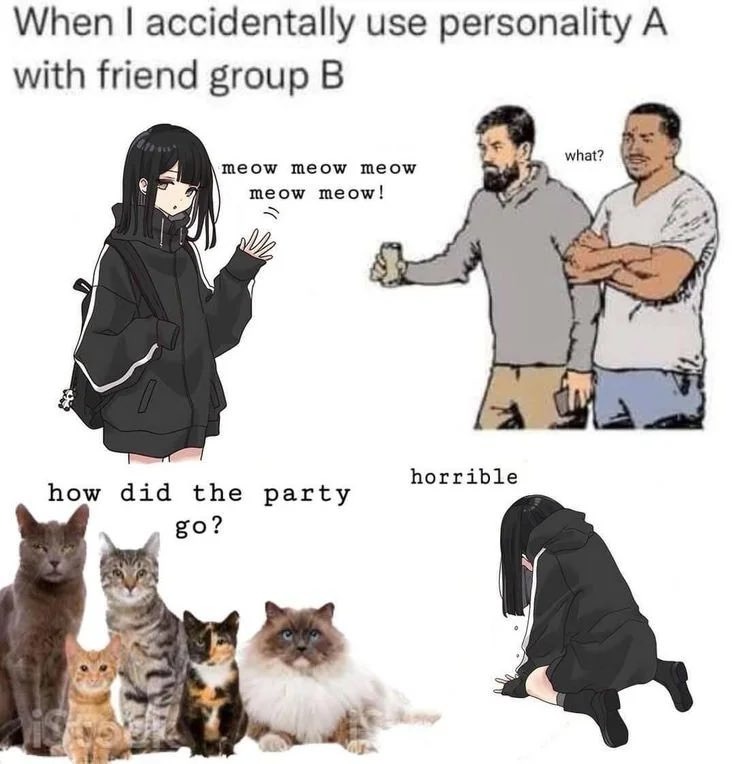 Latest memes / New memes :) Memedroid