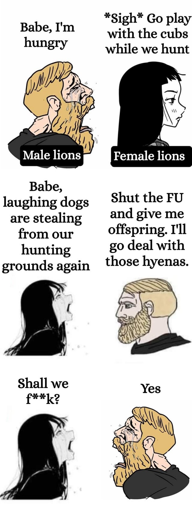 The best Lion memes :) Memedroid