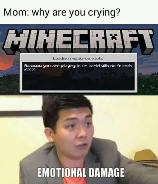 The Best Funny Minecraft Memes :) Memedroid