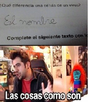 si o no - Meme subido por Edenilson :) Memedroid