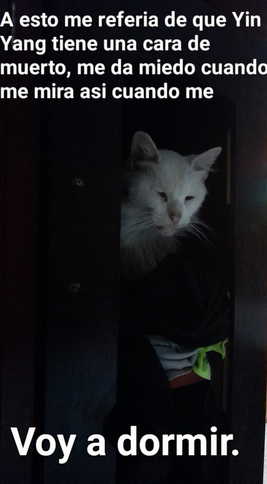 El_Vergudo :) Memedroid