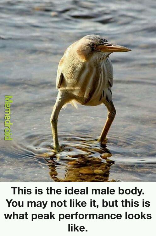 Top physical shape - Meme by Stark___ :) Memedroid