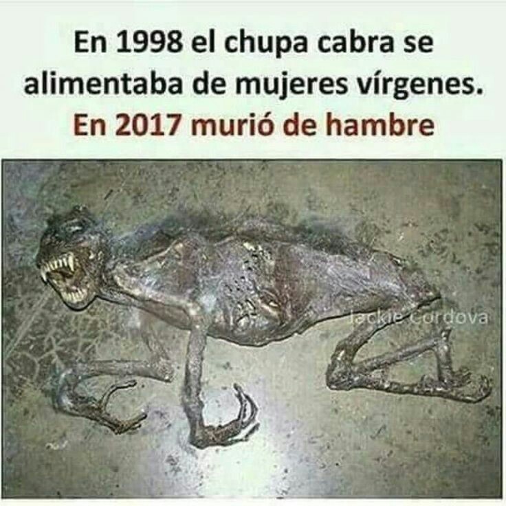 Memes Chupacabras