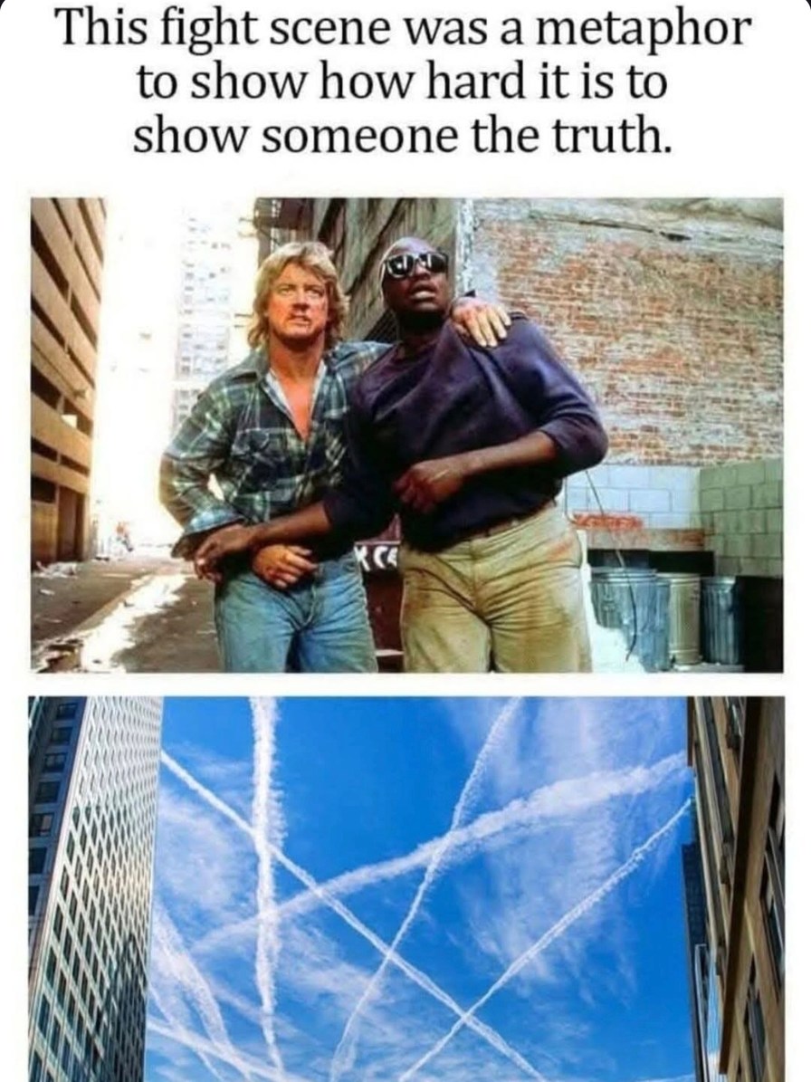 The best Truth memes :) Memedroid