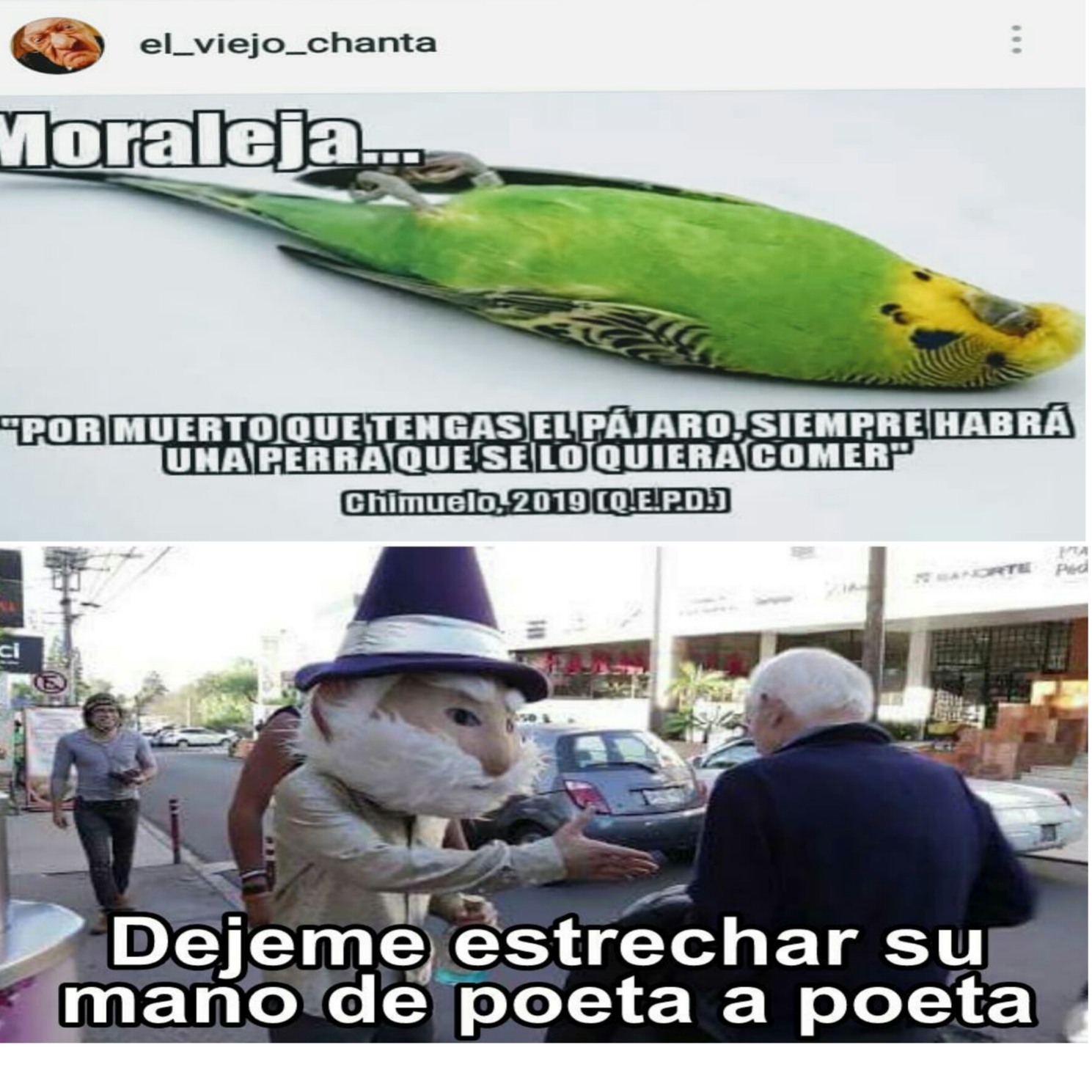 Top memes de calvo en español :) Memedroid