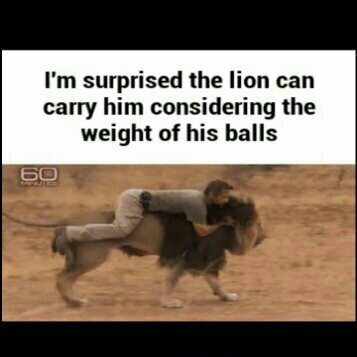 How - Meme by zackqalex :) Memedroid