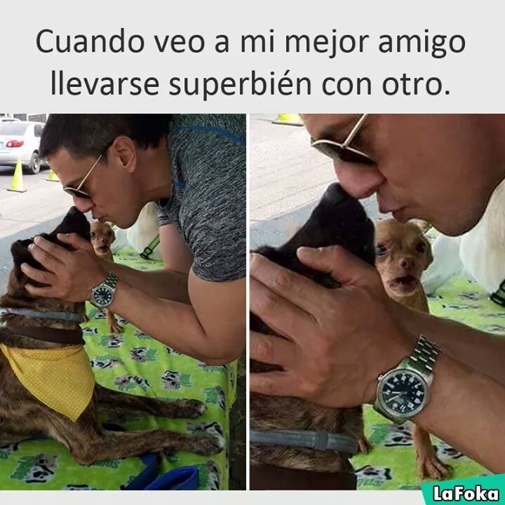 Robo descarado xD - Meme subido por SombraNiggaXD :) Memedroid